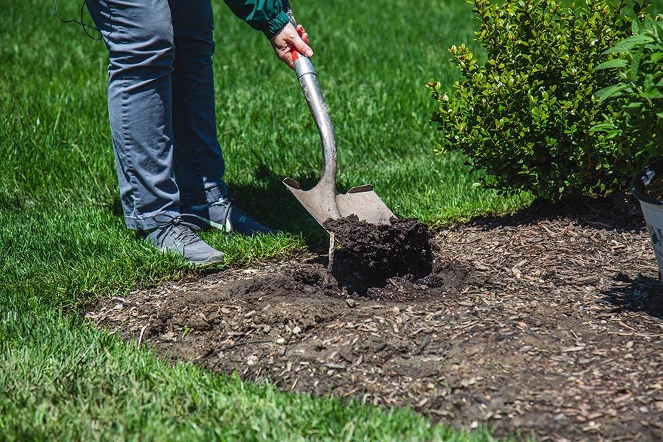 Six Steps for Success | Petitti Garden Centers