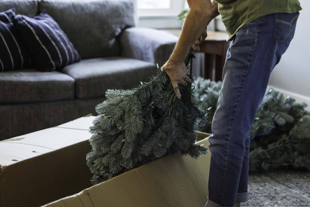 Life-Like Tree Care Guide | Petitti Garden Centers