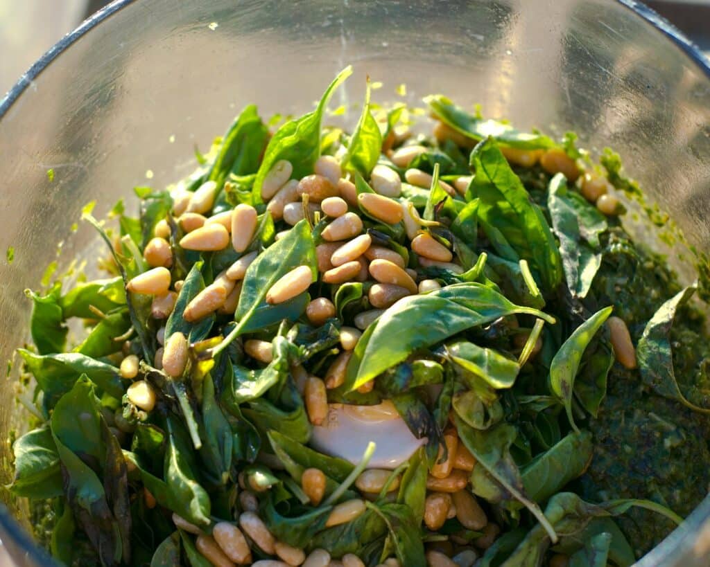 How to Make Fresh Basil Pesto | Petitti Garden Centers