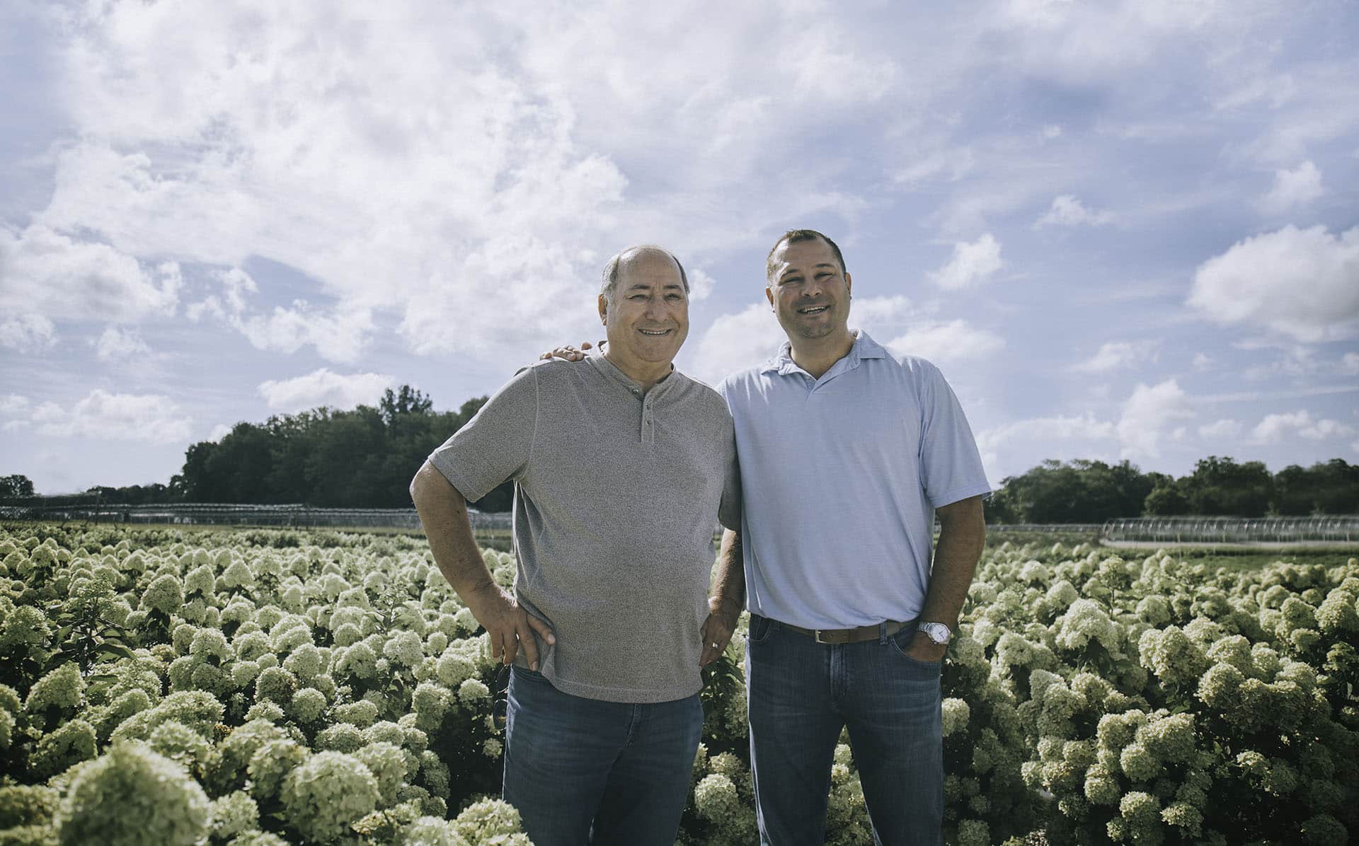 Calibrachoa, Millionbells, Mini Petunias | Petitti Garden Centers
