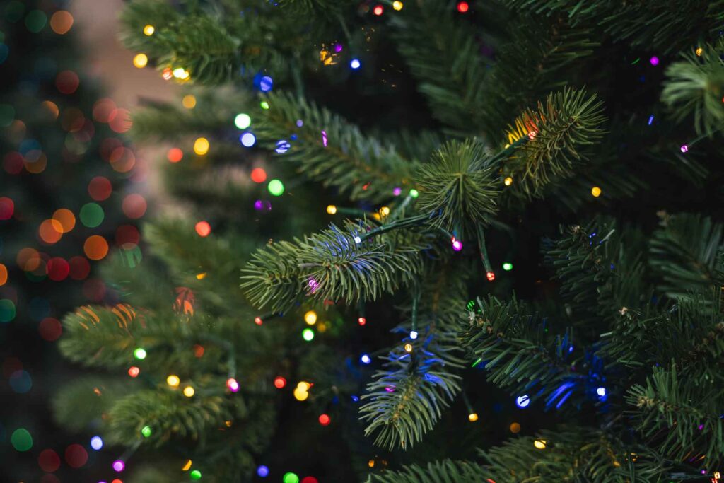 Life-Like Christmas Trees | Petitti Garden Centers