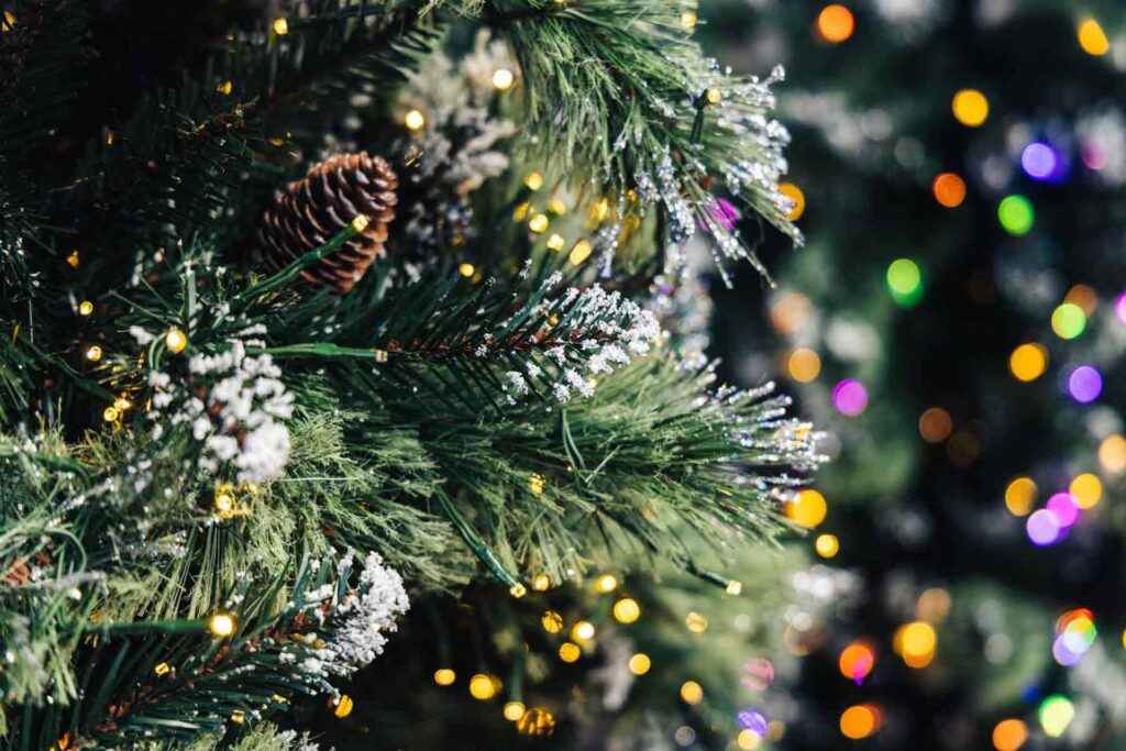 Starlights Christmas Trees | Petitti Garden Centers