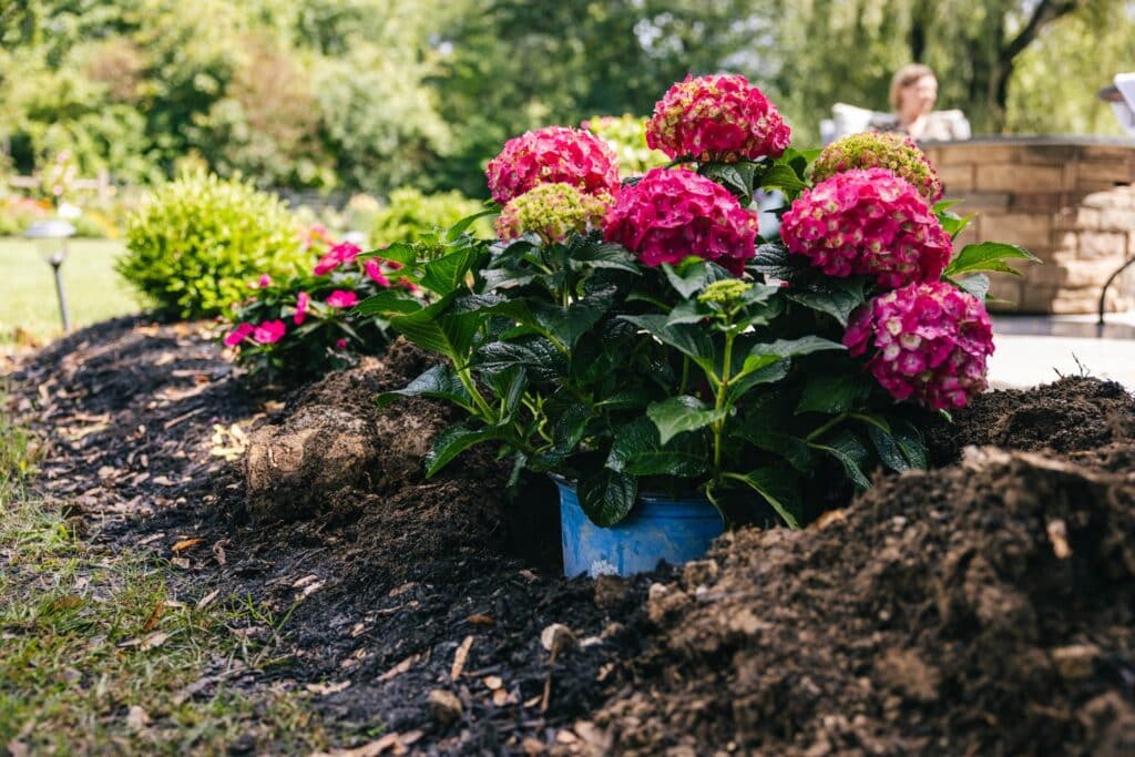 Six Steps for Success | Petitti Garden Centers